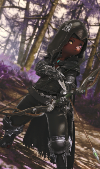 Dark Ranger | Eorzea Collection