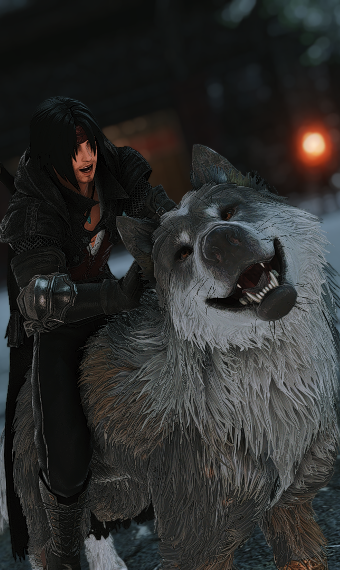 Adventuring with the pack | Eorzea Collection