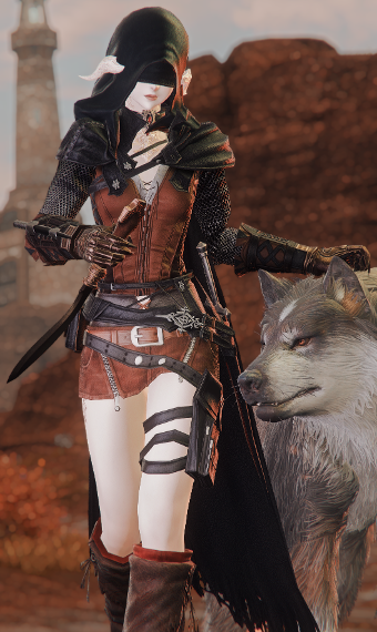 Assassin | Eorzea Collection