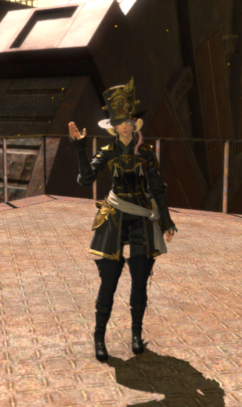 Steam doc | Eorzea Collection