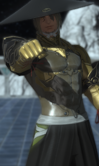 Future Mech Monk | Eorzea Collection