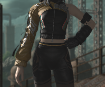 Street Fighter | Eorzea Collection