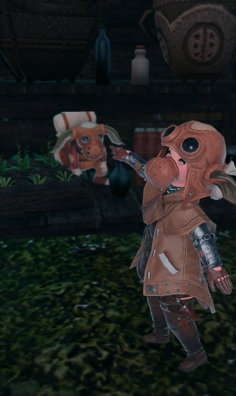 gobbo | Eorzea Collection