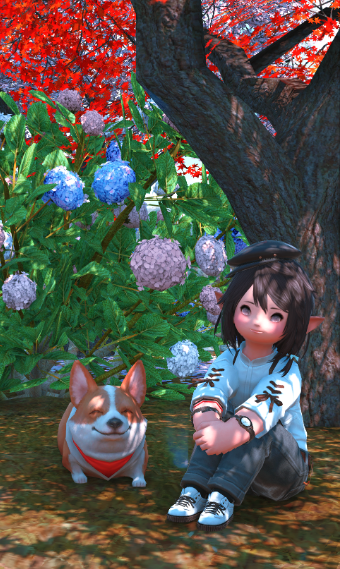 Dog Days | Eorzea Collection
