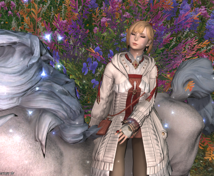 Healer of your sorrows | Eorzea Collection