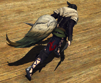 Touch Fluffy Tail | Eorzea Collection