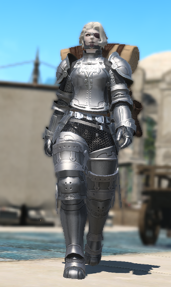 Wandering Protector | Eorzea Collection