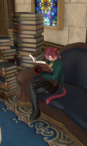 Felicitous Adventurer | Eorzea Collection