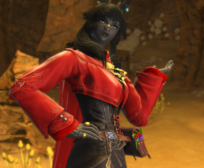 Explorer | Eorzea Collection