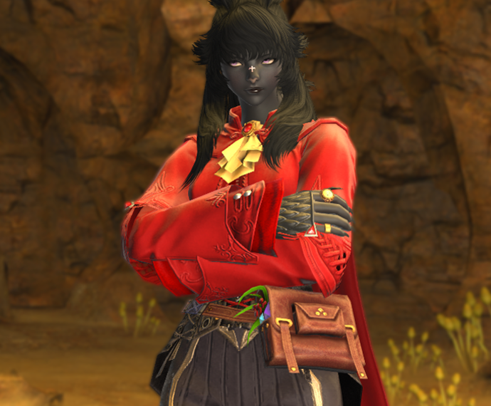 Explorer | Eorzea Collection