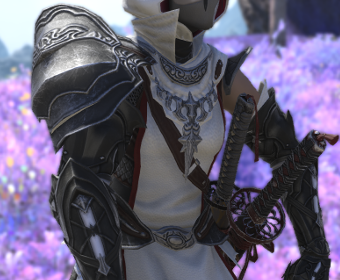 Pale Assassin | Eorzea Collection