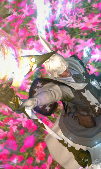 Apprentice in Battle | Eorzea Collection