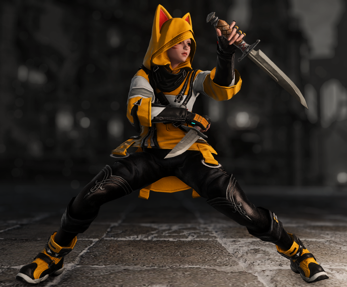 Ninja cat | Eorzea Collection