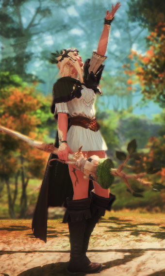 Protector of the Woodlands | Eorzea Collection