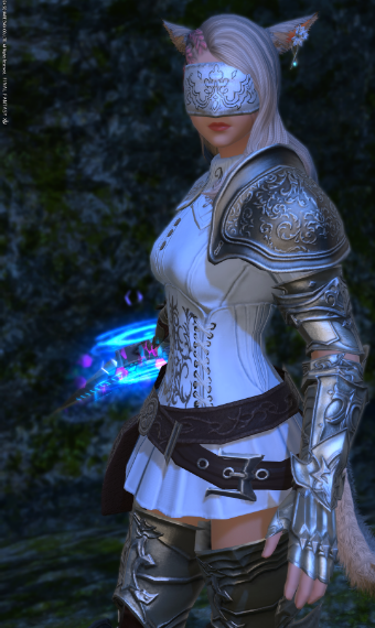 Titanium Guard | Eorzea Collection