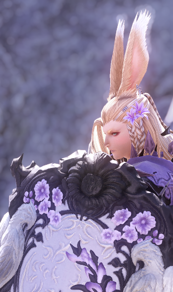 Iris knight | Eorzea Collection