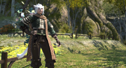 Wandering balladeer | Eorzea Collection