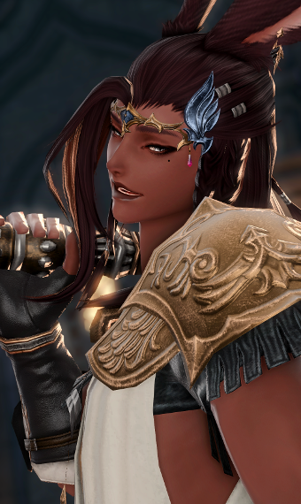 Decorated Eques | Eorzea Collection