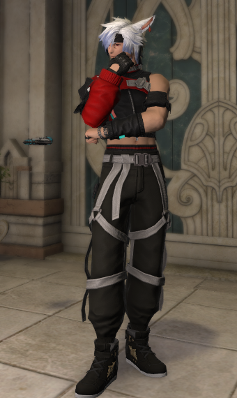 Solution 9 Healer | Eorzea Collection