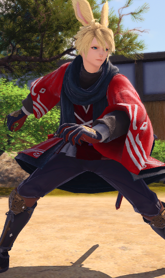 Vermillion Lotus Fencer | Eorzea Collection