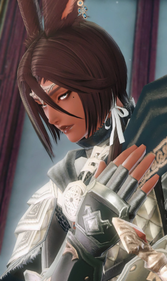 Devoted Knight | Eorzea Collection