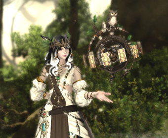 Druidic Healer | Eorzea Collection
