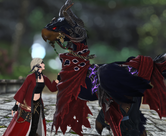 Adventurer and Their Chocobo | Eorzea Collection