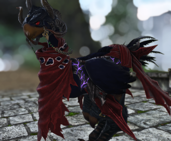 Adventurer and Their Chocobo | Eorzea Collection