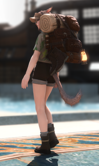 013 | Eorzea Collection