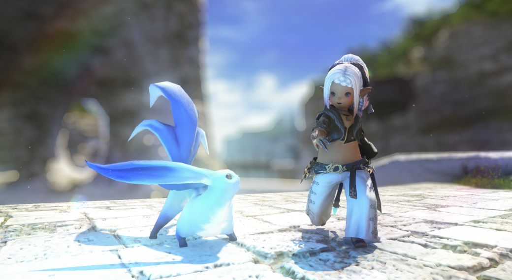 Friendly summoner | Eorzea Collection