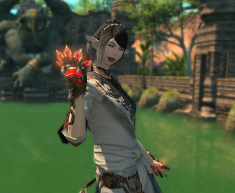 Lunar Dragon's Monk | Eorzea Collection