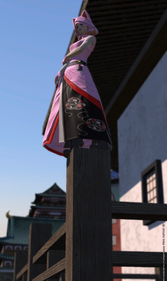 Mysterious Stranger | Eorzea Collection