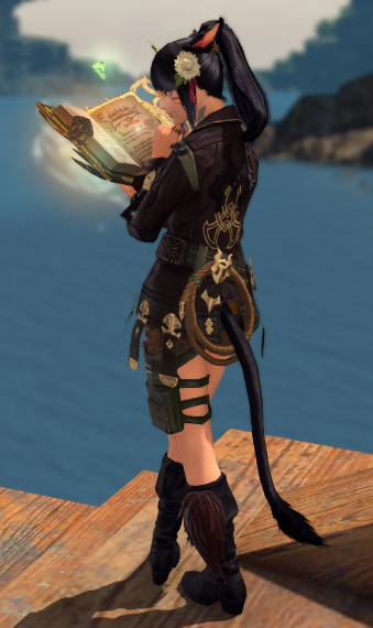 Intrepid Hero | Eorzea Collection