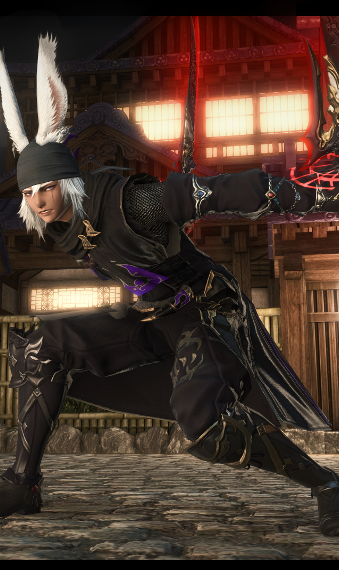 True Ninja | Eorzea Collection