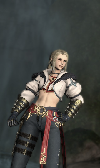 Monk by Reinhart | Eorzea Collection