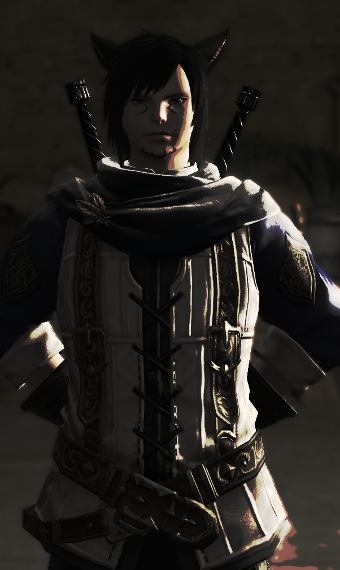 Adventuring Swordsman | Eorzea Collection