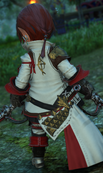 Dalamud Duellist | Eorzea Collection