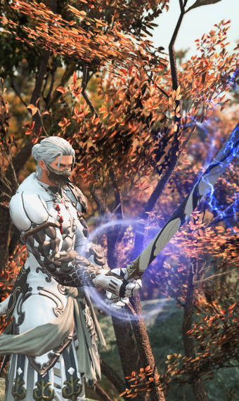 Dragon Sensei | Eorzea Collection