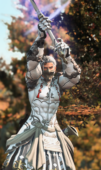 Dragon Sensei | Eorzea Collection