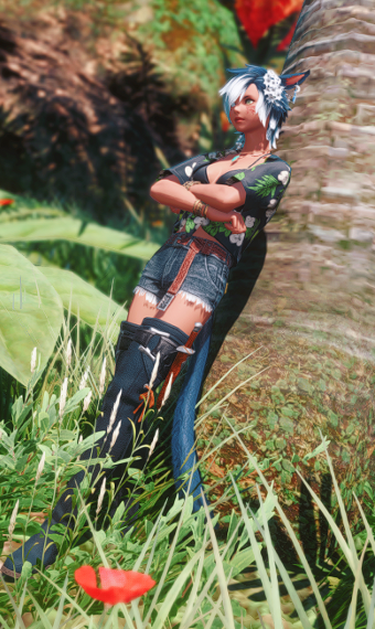 Isle Explorer | Eorzea Collection