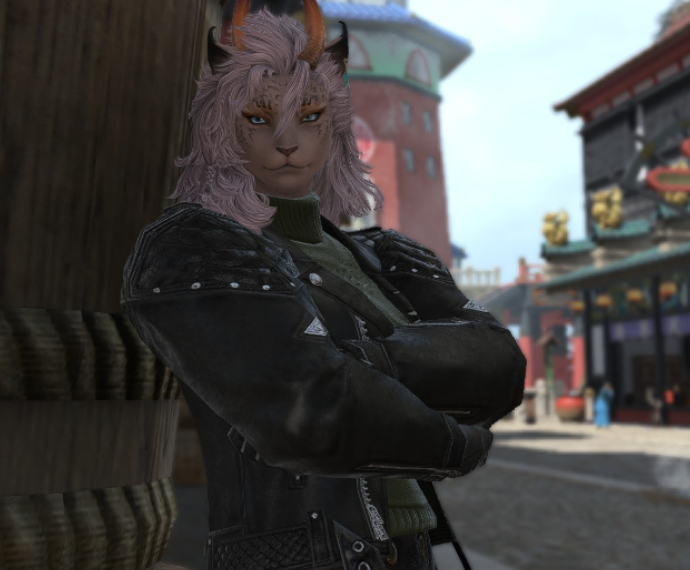 Retired Adventurer For Hire | Eorzea Collection