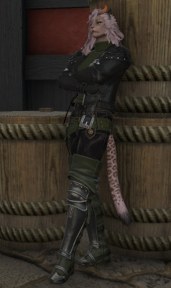 Retired Adventurer For Hire | Eorzea Collection