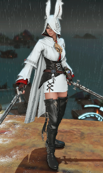Assassin's Creed Bunn | Eorzea Collection