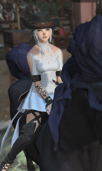 Shaaloani's Most Wanted | Eorzea Collection