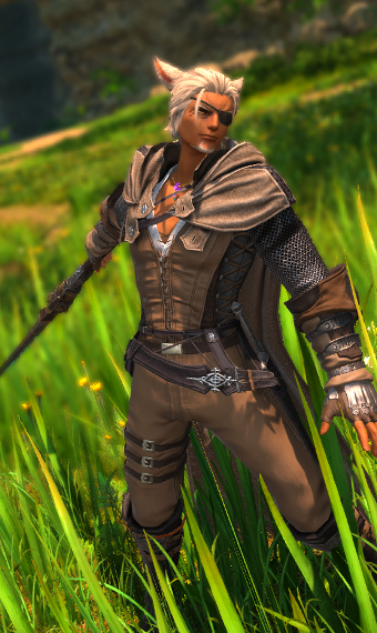 Stray Hunter | Eorzea Collection