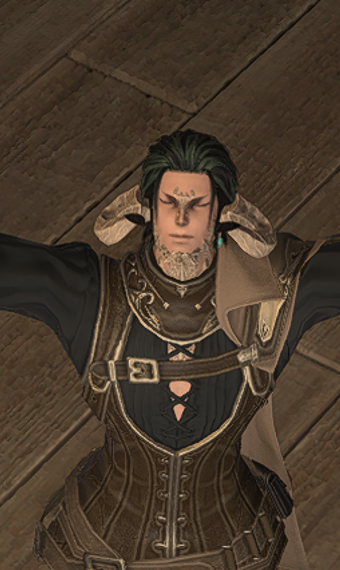 Nomadic sage | Eorzea Collection