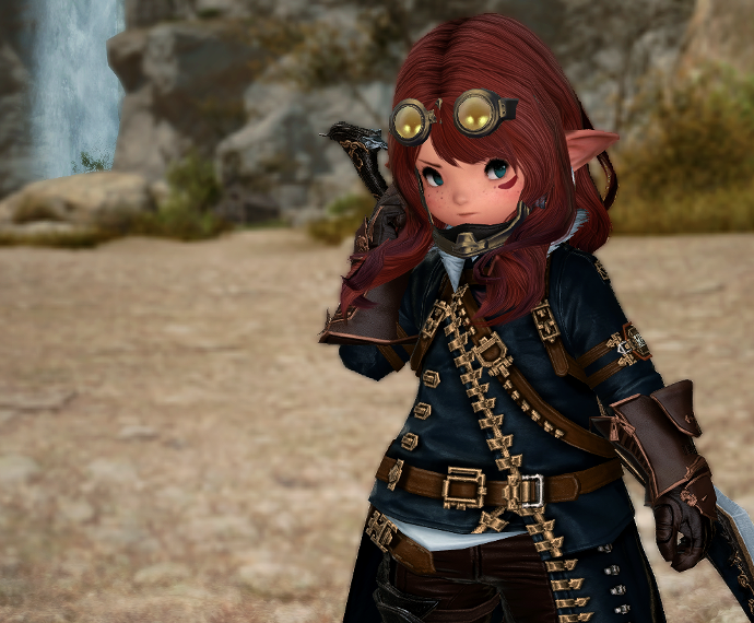 Veteran Protector | Eorzea Collection