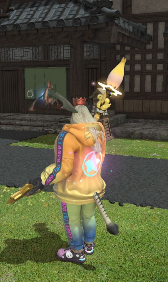Rainbow Shine Pictomancer | Eorzea Collection