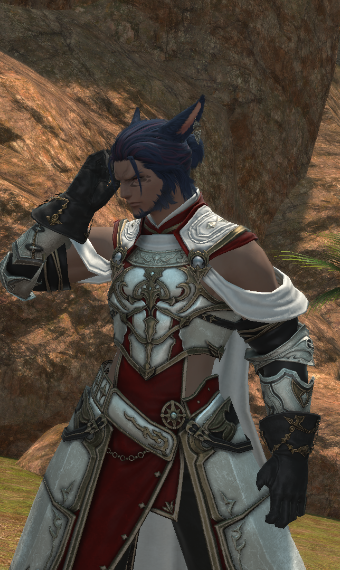 Holy Miqo'te Samurai | Eorzea Collection