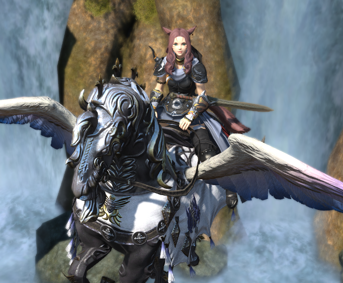 Miqo'te Leveling Gladiator | Eorzea Collection